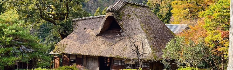 YONEYA JAPAN OFFICIAL HOMEPAGE