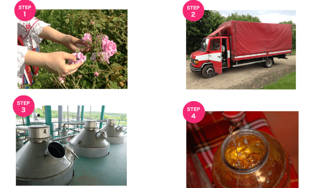 YONEYA JAPAN OFFICIAL HOMEPAGE